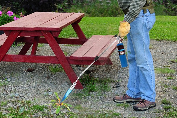 5 Best Weed Torches - Aug. 2023 - BestReviews