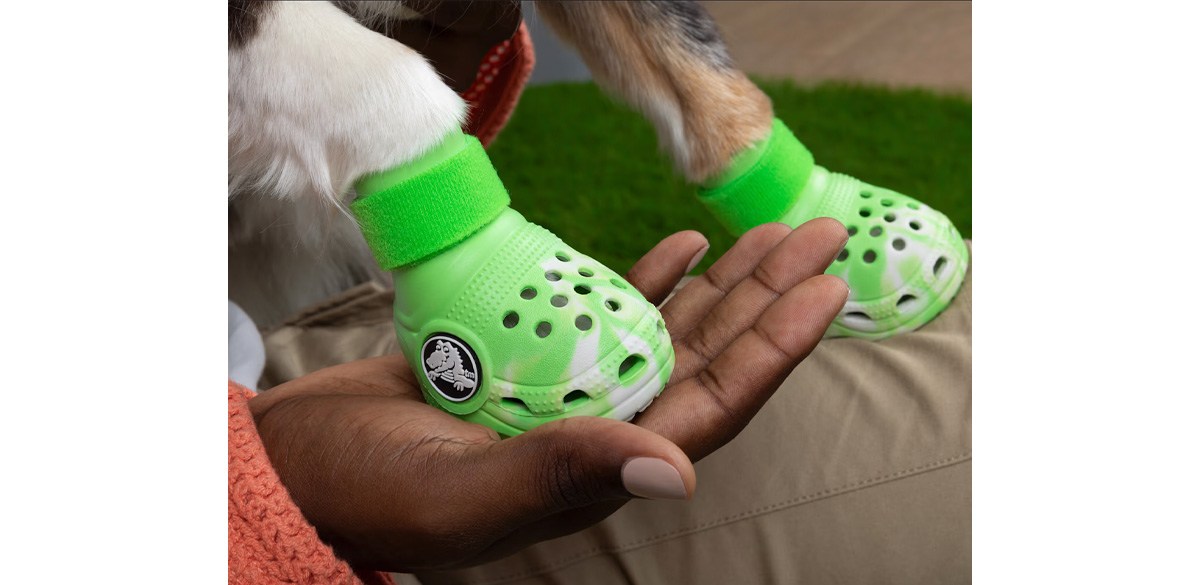 Crocs Releases A Line Of Crocs For Dogs For Croctober Crocs Releases A Line Of Crocs For Dogs For Croctober